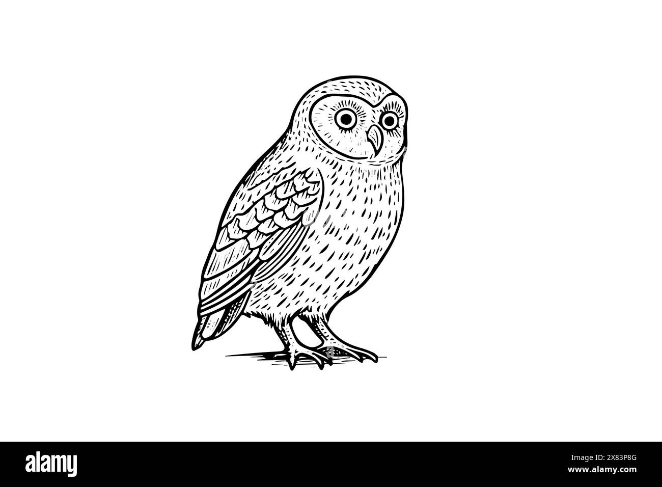 Vintage Owl Clip Art Black And White Owl Black And White Vector Images