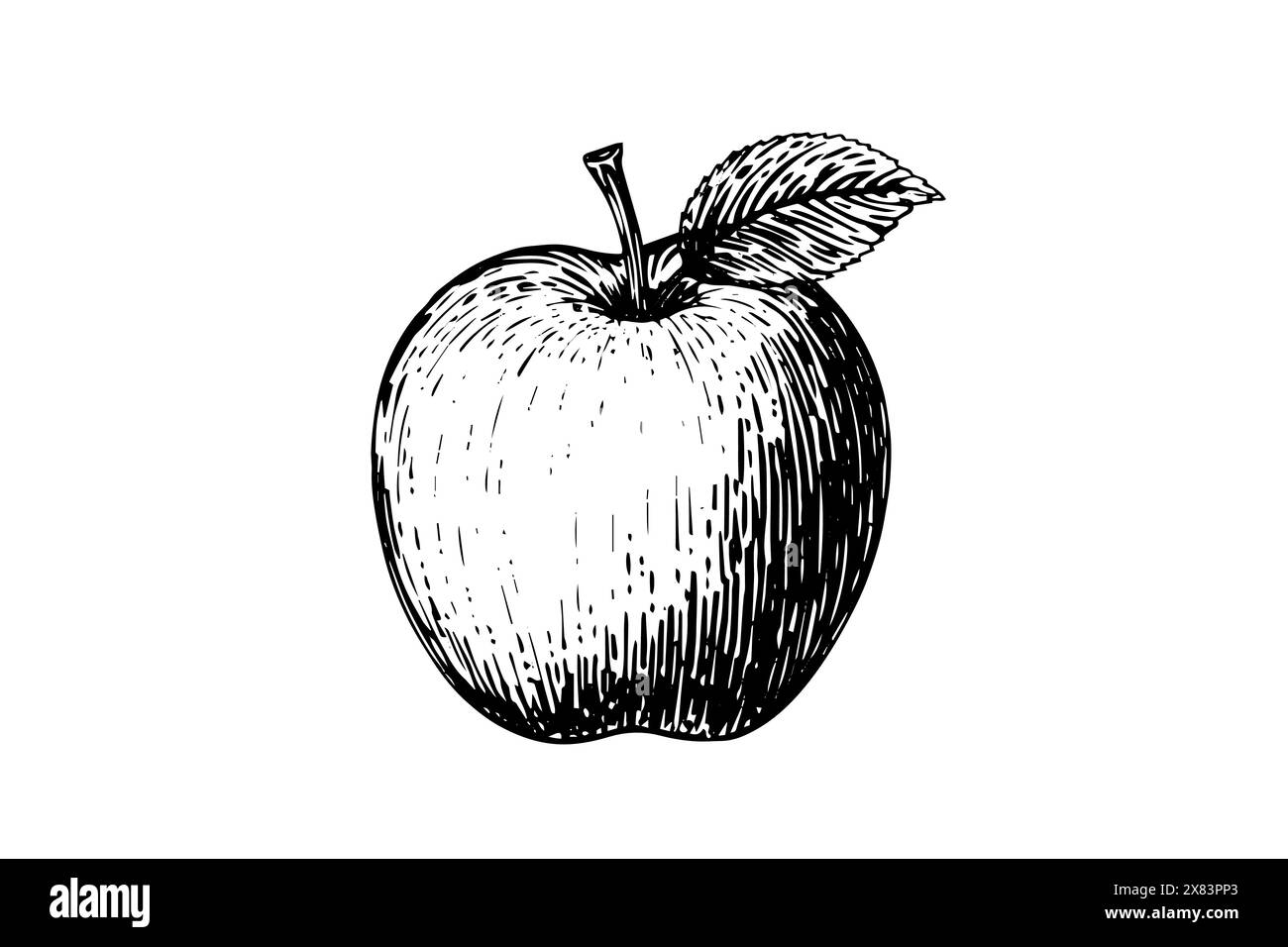 Vintage Hand-Drawn Apple Tree Sketch: Retro Vector Illustration of ...