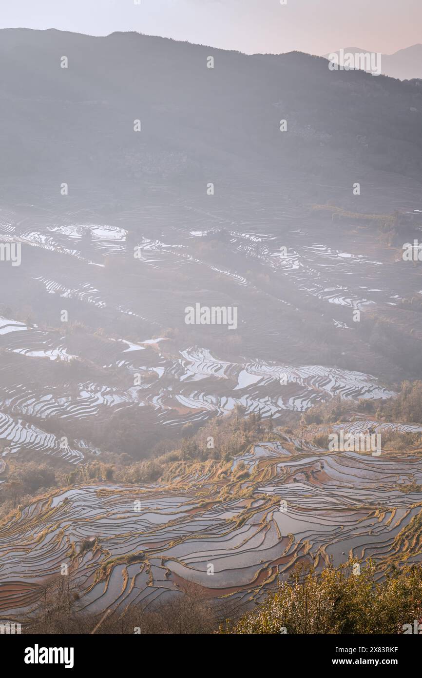 Paddy fields, Rice terraces. In Yunnan province China. Bada rice ...