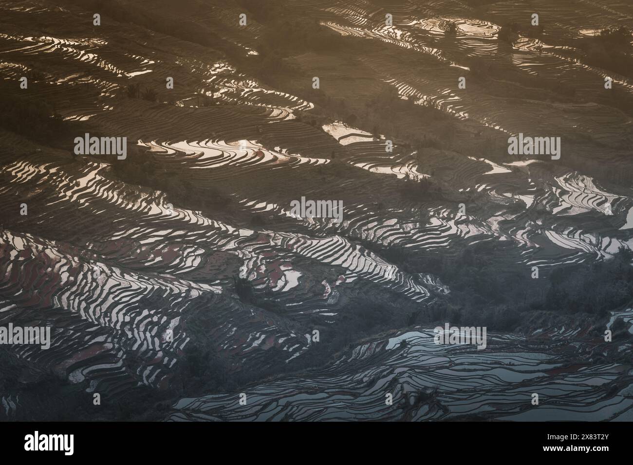 Yuanyang rice terrace from Bada scenic area in Yunnan province, China ...
