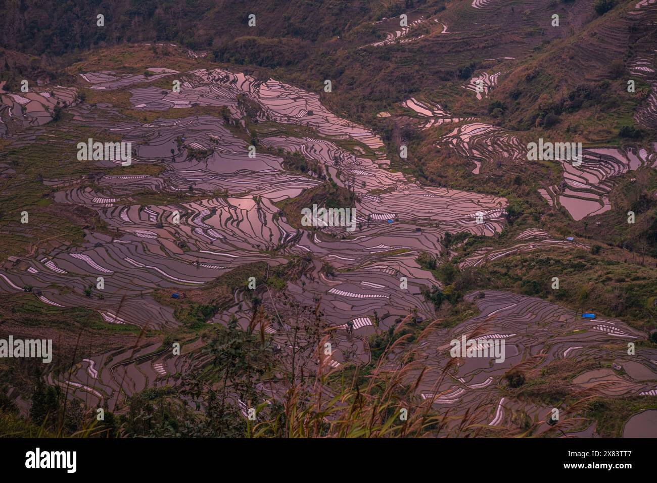 Yuanyang rice terrace from Laohuzui (the Tiger Mouth) in Yunnan ...