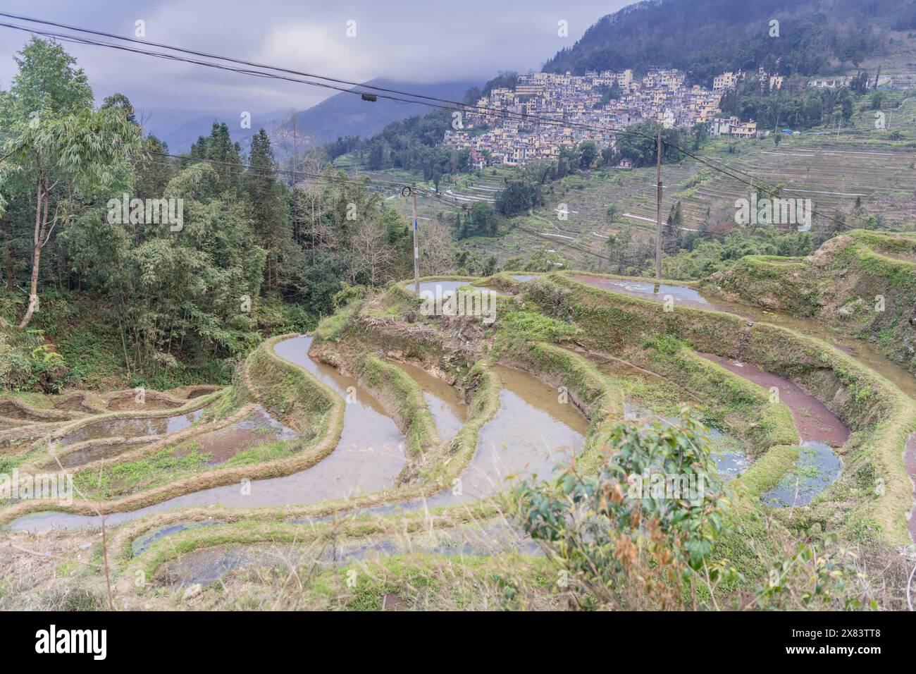 Terraced Rice fields filled with water during spring. The beautiful ...