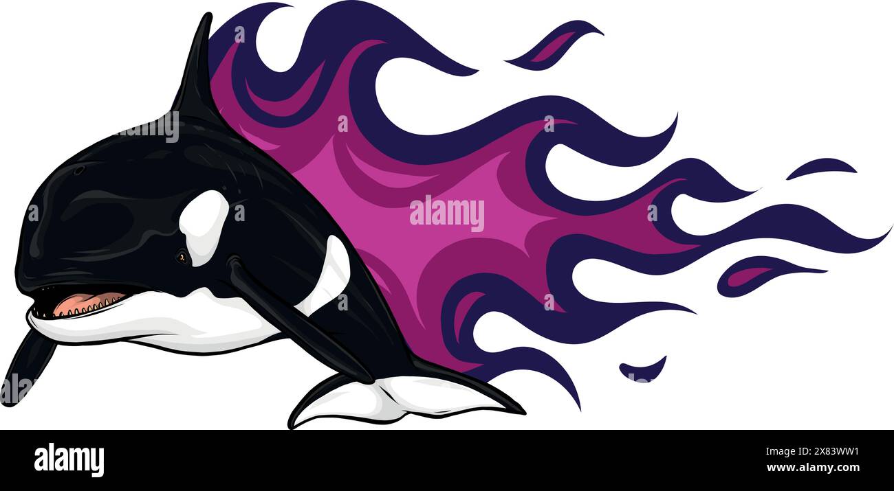 Killer Whale or Orca vector illustration design Stock Vector Image ...
