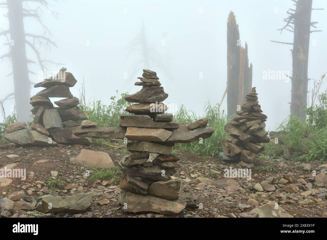Stone pyramids and broken tree trunks on top of a high mountain hidden ...