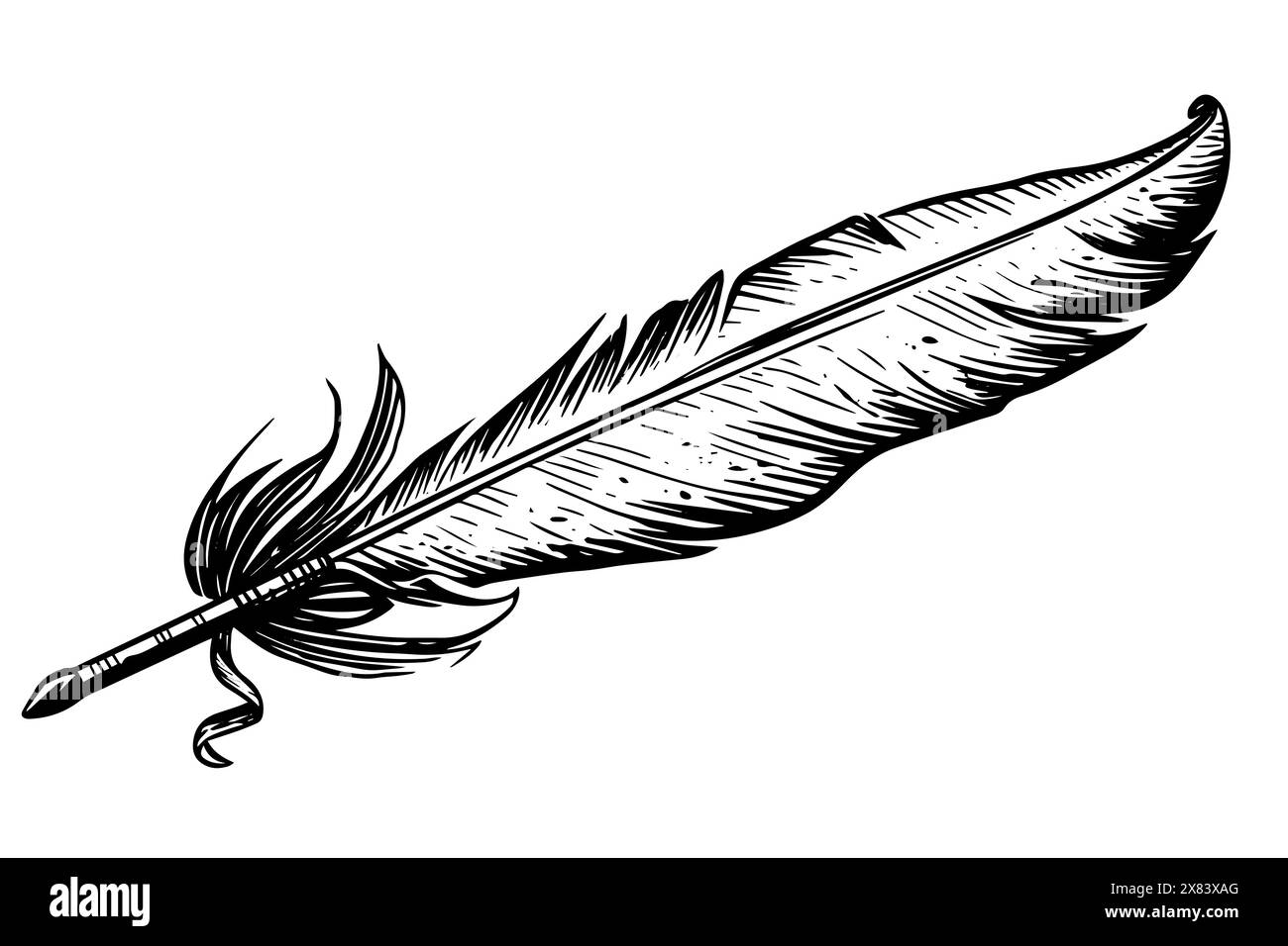 Feather engraved in sketch style isolated on white background. Vintage ...