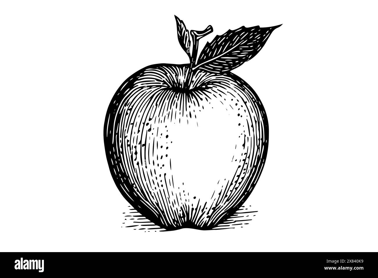 Vintage Hand-Drawn Apple Tree Sketch: Retro Vector Illustration of ...