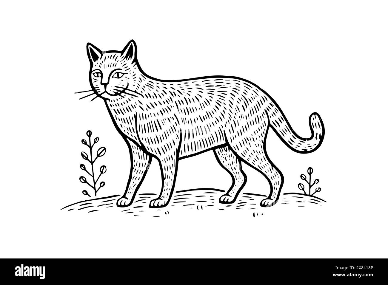 Vintage Cat Sketch: Hand-Drawn Vector Illustration of a Furry Friend Stock Vector Image & Art ...