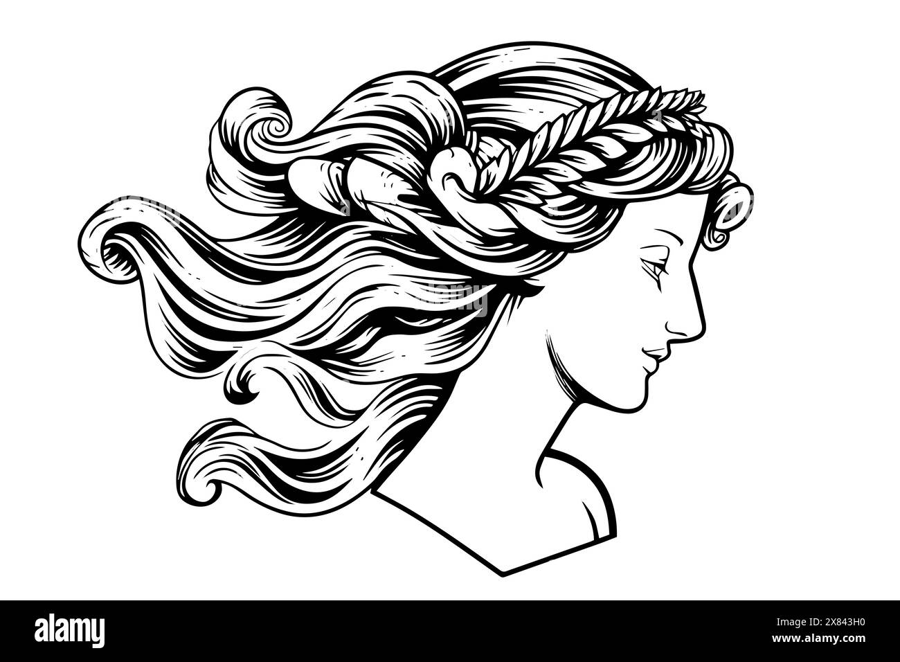 Aphrodite head hand drawn ink sketch. Engraved style vector ...
