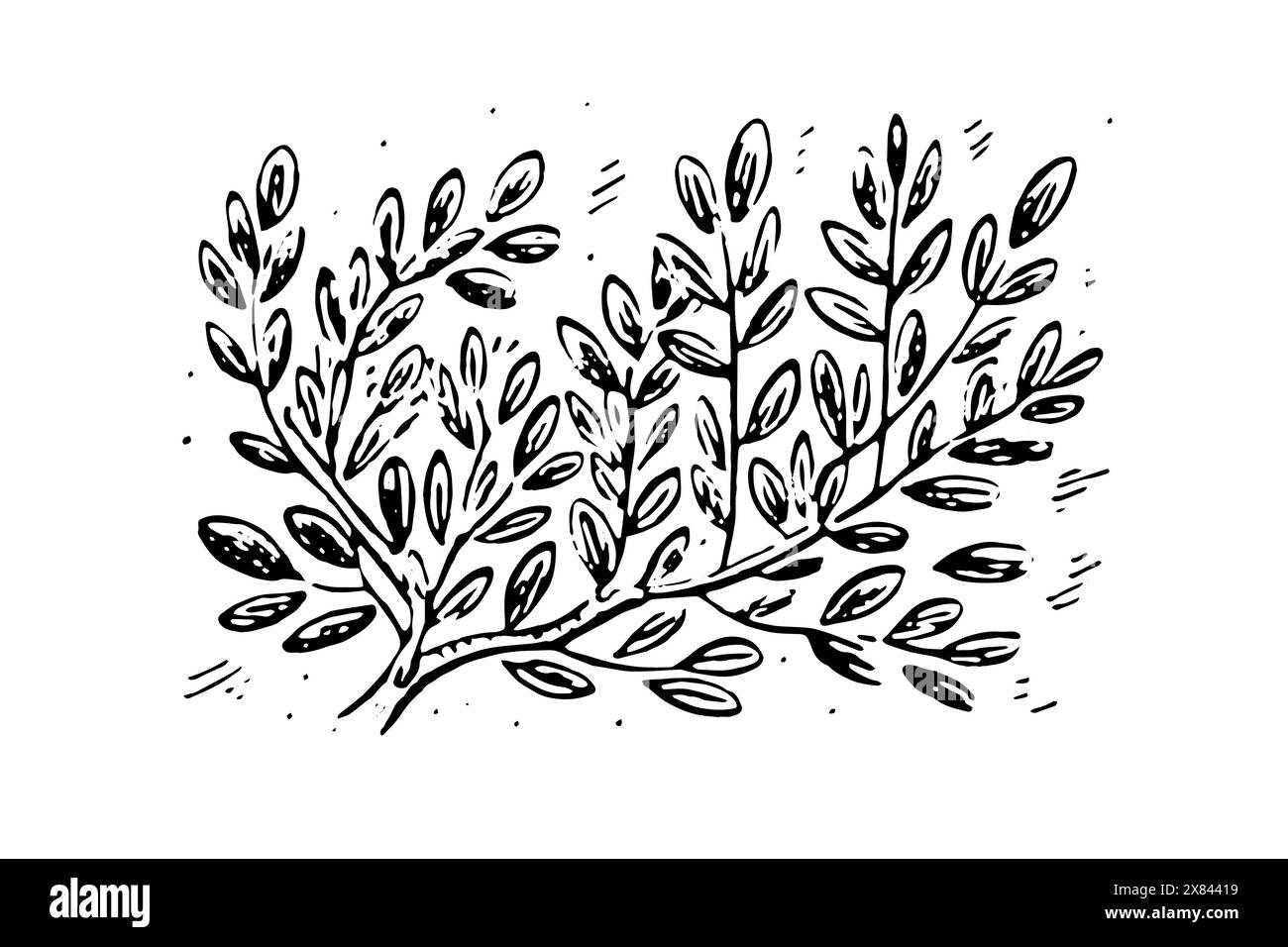 Vintage Hand-Drawn Leaf Branch Sketch: Botanical Vector Illustration ...