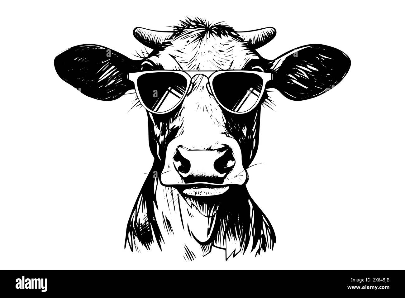 Cow head in sunglasses hand drawn ink logotype sketch. Engraved style ...
