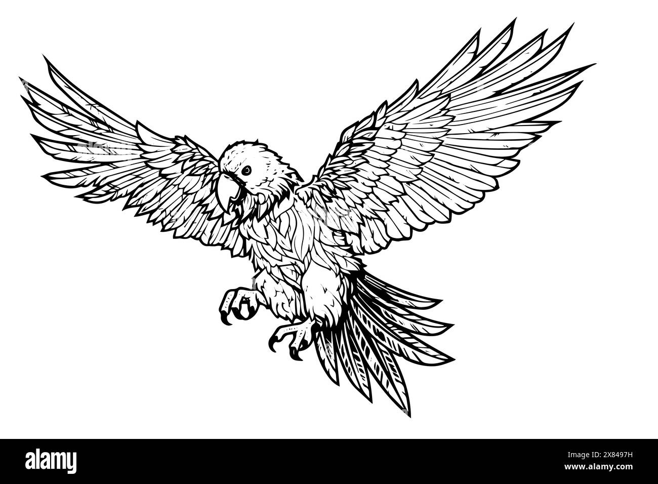 Flying parrot hand drawn ink sketch. Engraved style vector illustration ...