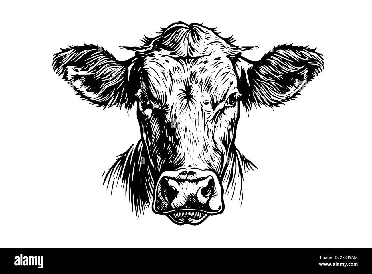 Cartoon friesian cow illustration Black and White Stock Photos & Images ...