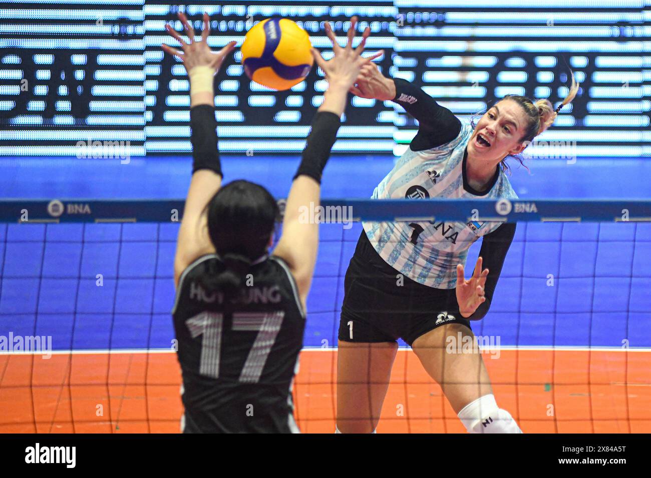 Seleccion argentina de voley hi-res stock photography and images - Alamy