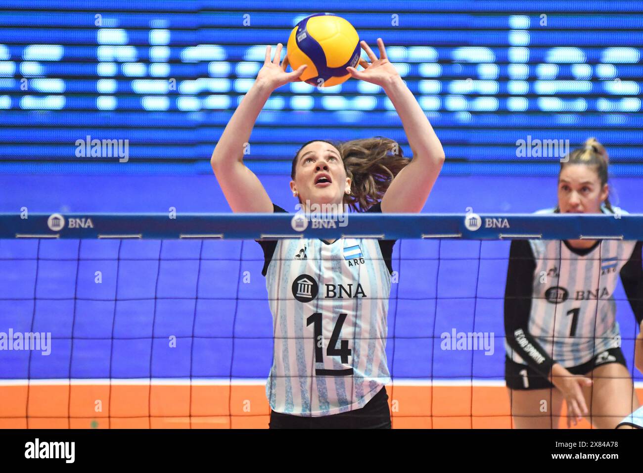 Victoria Mayer. Argentina Women's Volleyball Team (Las Panteras Stock ...
