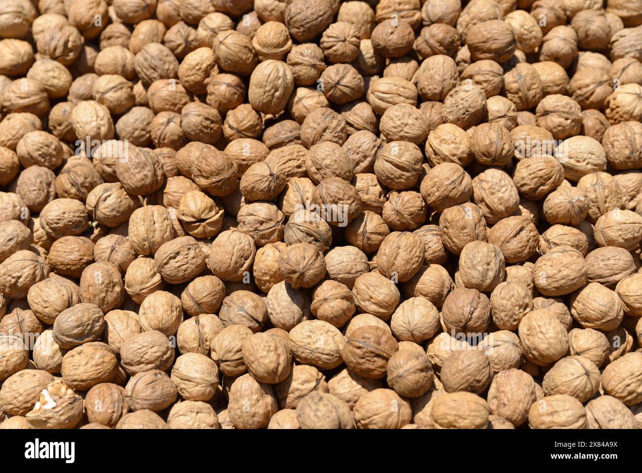 Istanbul, Istanbul Province, Turkey, Asia, Close-up of many dried nuts being sold in a food ...