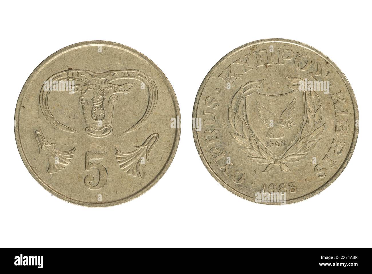Cypriot coin, with shield symbol and year 1983, 5 cents, obverse and ...
