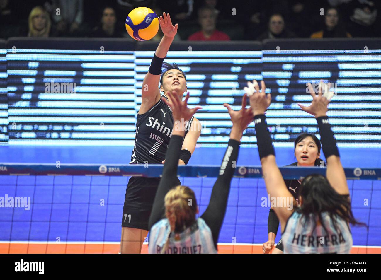 Jiyun Moon (South Korea) against Argentina. Women's Volleyball Stock ...