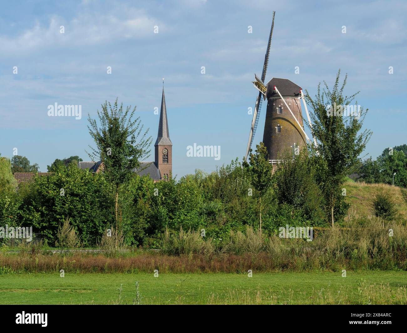 Windmill and church tower standing behind green trees under a clear sky ...