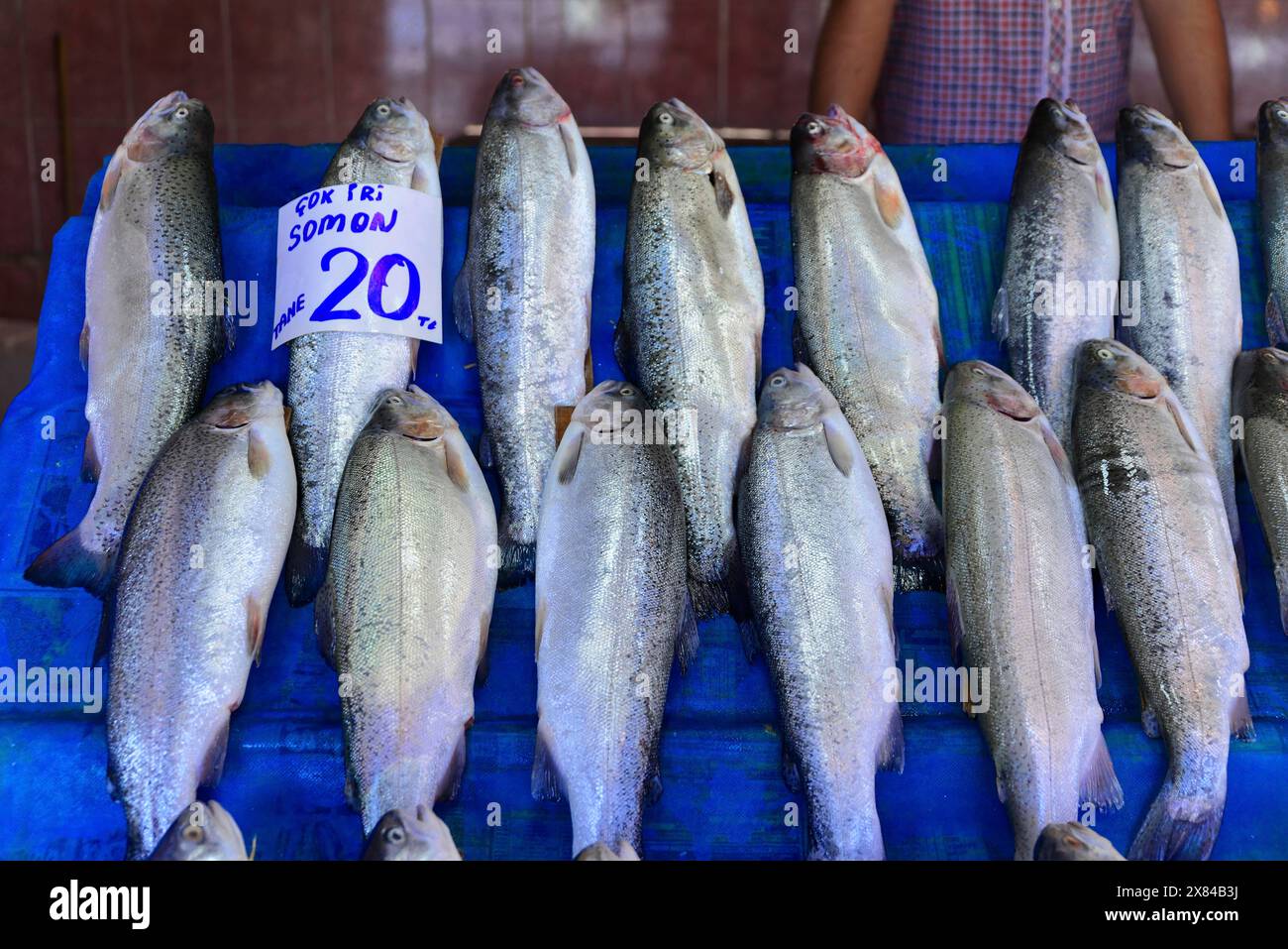Market stall with fish and a price tag on a blue base, Istanbul ...