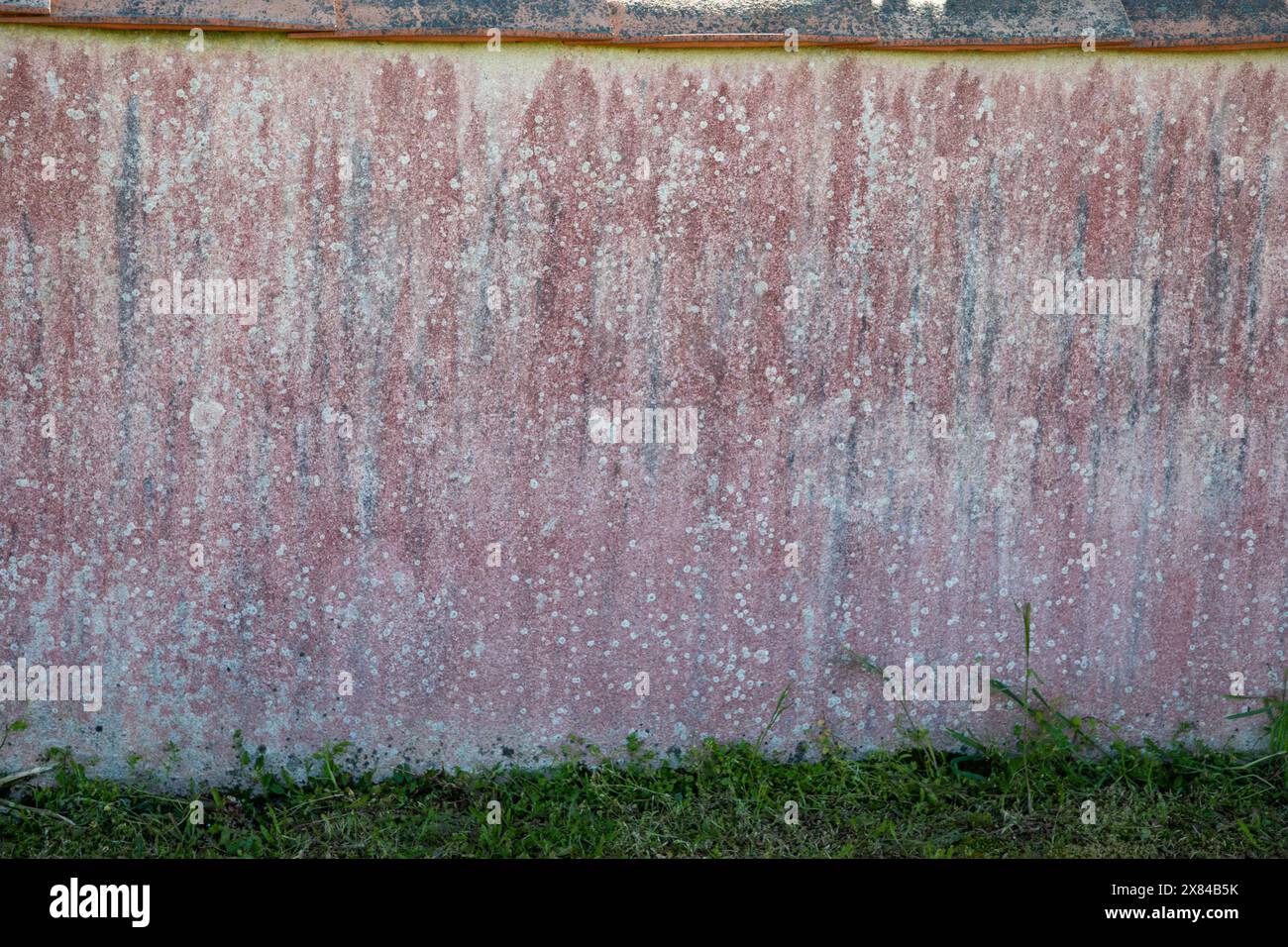 gray pink wall roughcast concrete facade cement red grey wallpaper ...