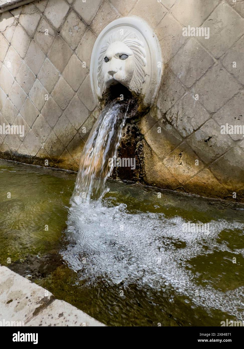 Partial view of large in the picture gargoyle in the form of head of ...