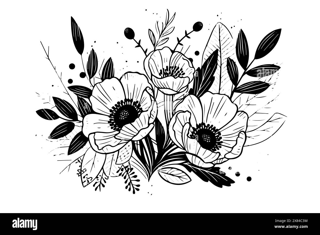 Hand drawn ink sketch of meadow wild flower composition. Engraved style ...