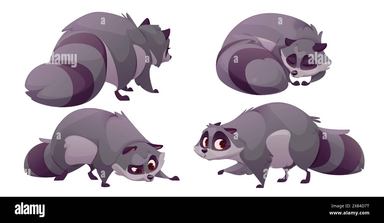 Cute racoon character. Funny raccoon cartoon illustration set. Wild ...