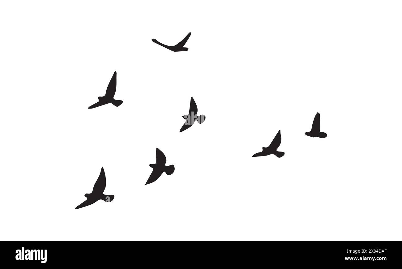 Flying Birds Vector And Illustration Stock Vector Image & Art - Alamy