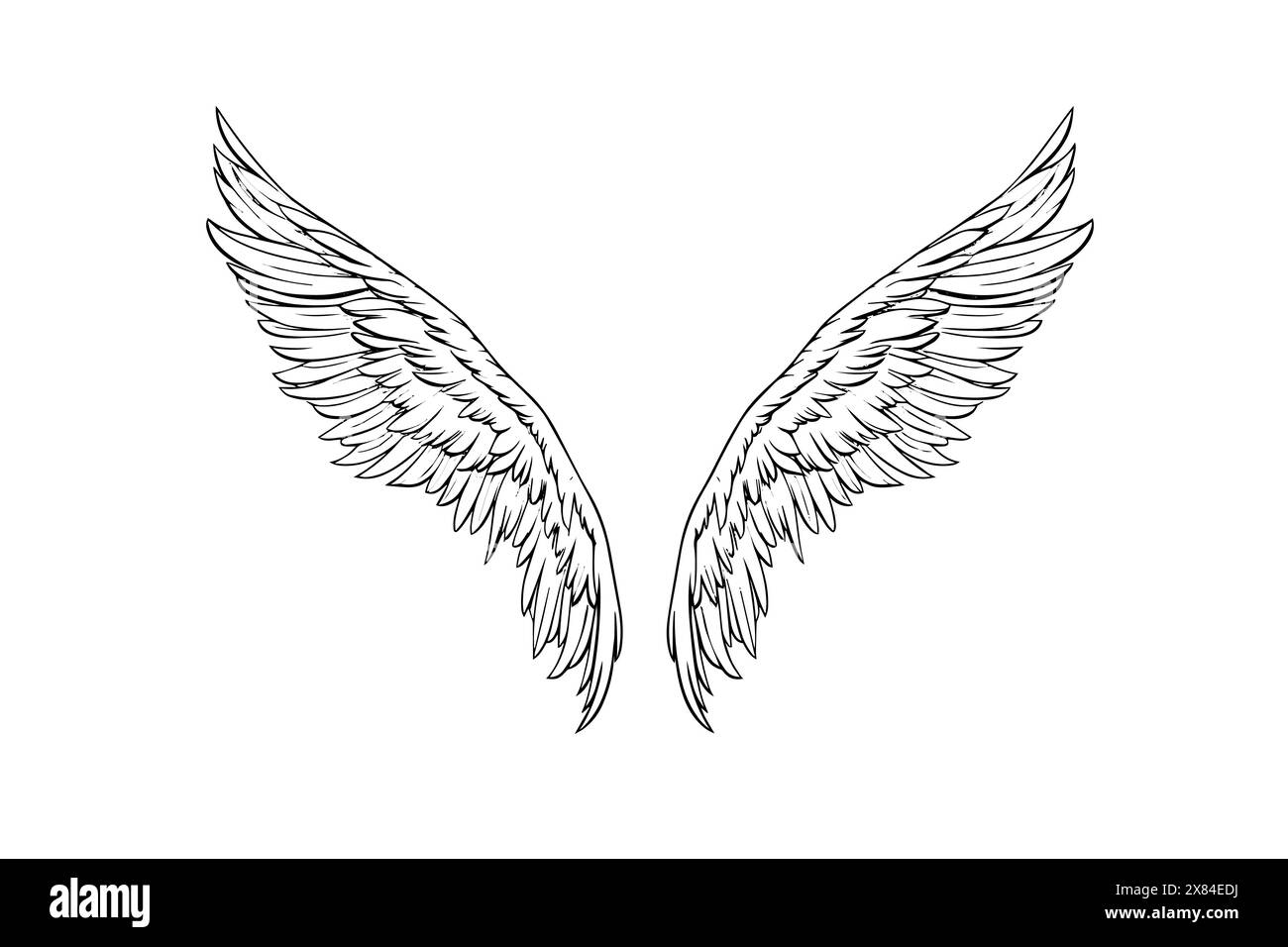 Angel wings ink sketch in engraving style. Hand drawn fenders vector ...