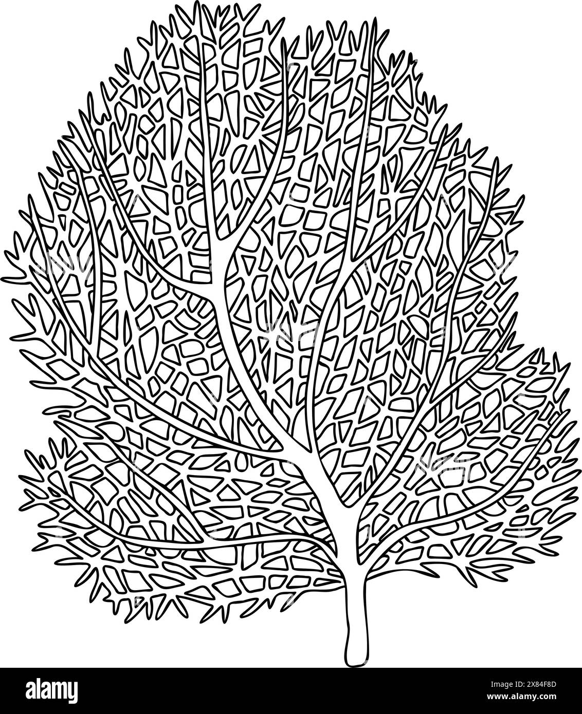 Sea fan , ocean coral reef organizm. Hand drawn vector outline ...