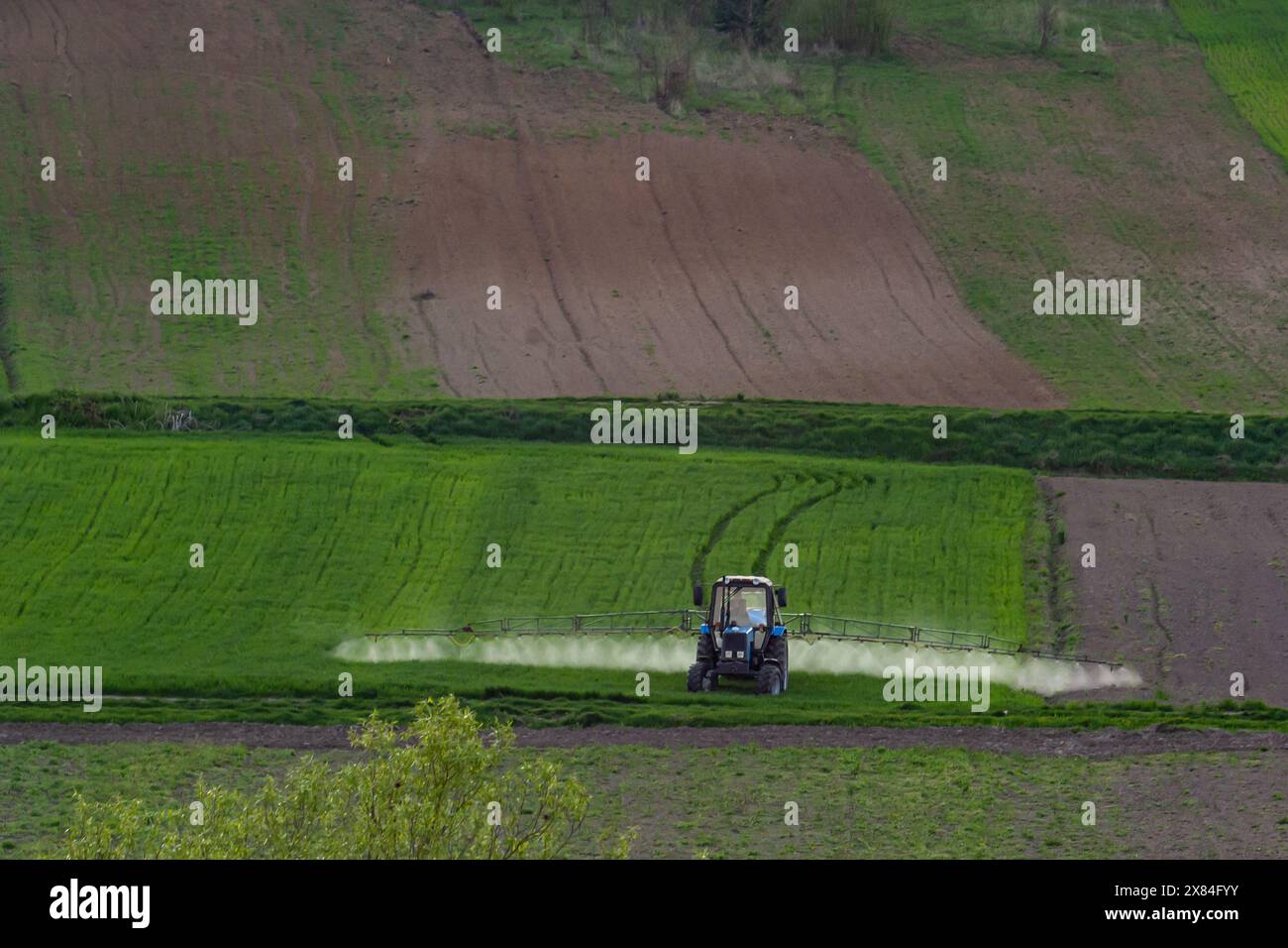 Aerial view of tractor spraying crop in green farm fields with ...