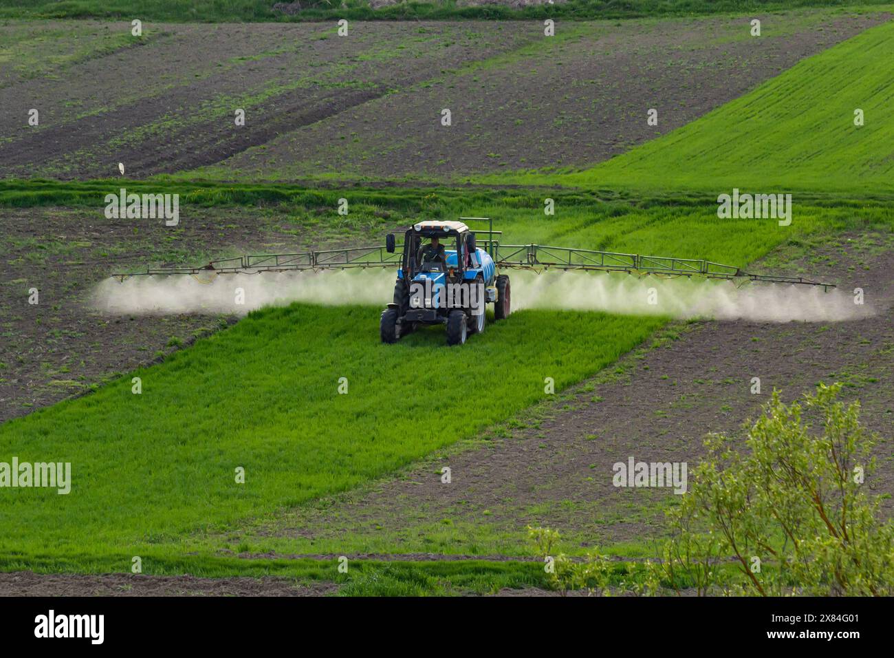 Aerial view of tractor spraying crop in green farm fields with ...