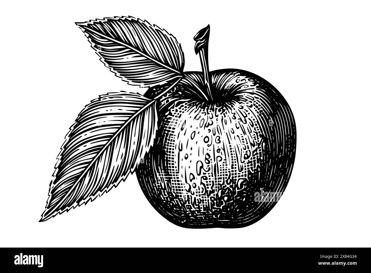 Vintage Hand-Drawn Apple Tree Sketch: Retro Vector Illustration of ...