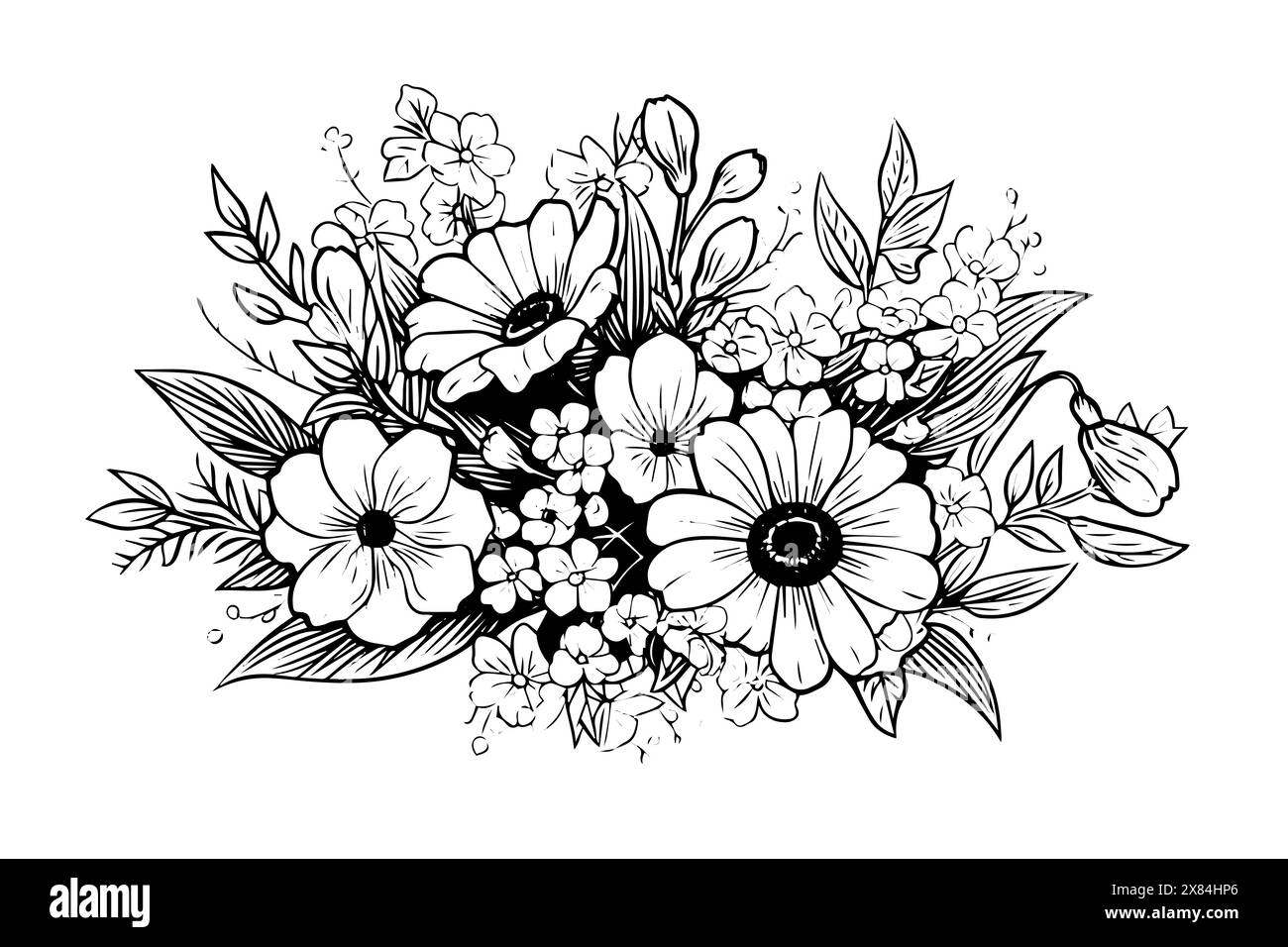 Hand drawn ink sketch of meadow wild flower composition. Engraved style ...