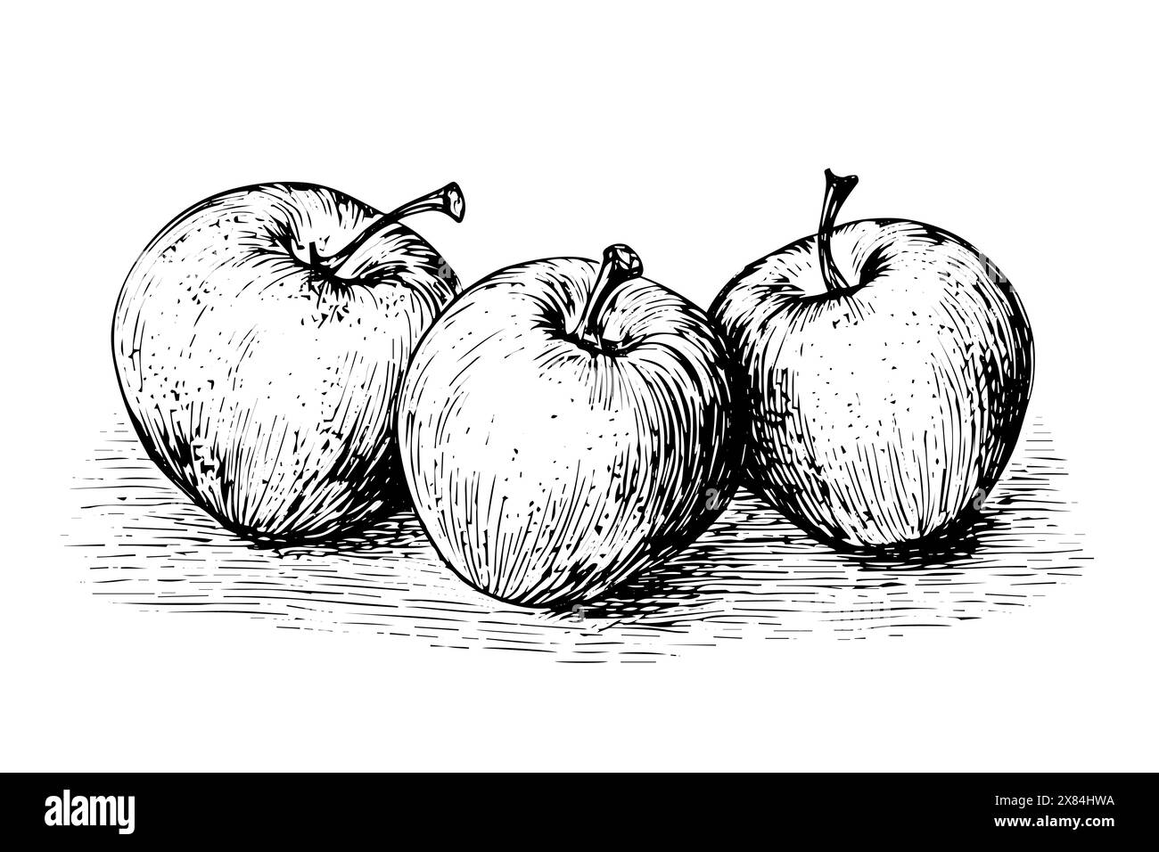 Apple fruit hand drawn ink sketch. Engraved style vector illustration ...