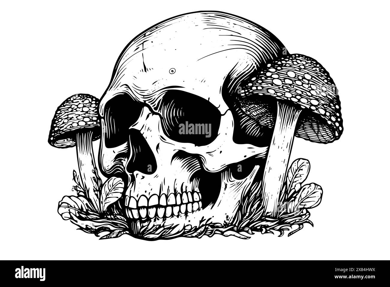 Mushroom skull hand drawn ink sketch. Engraved style vector ...
