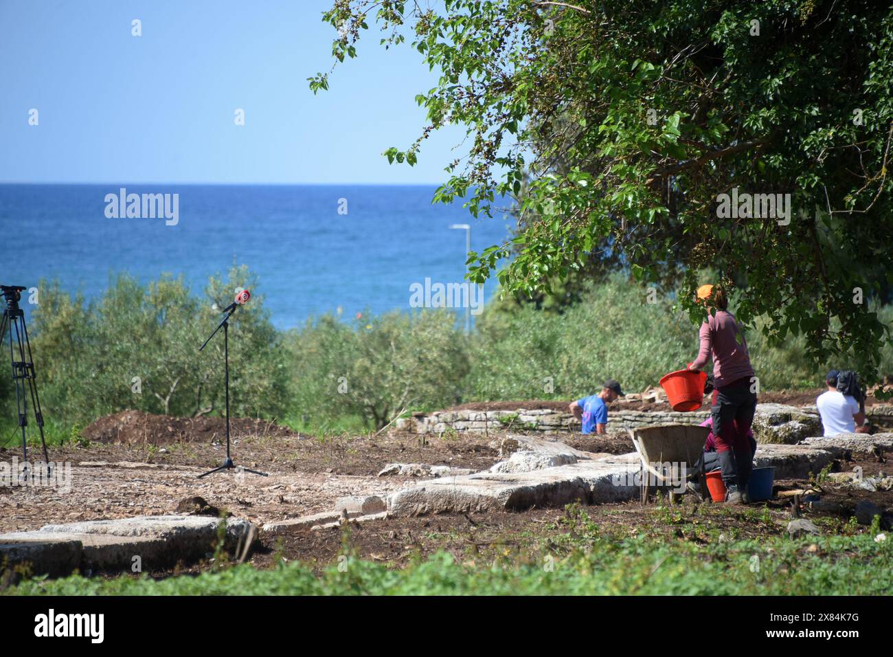 In the olive groves of Barbariga, they discovered the remains of a ...
