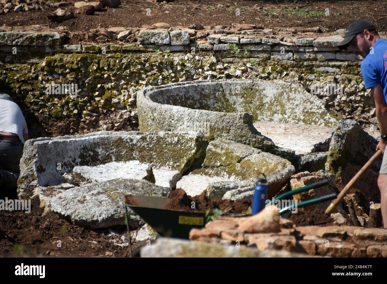 In the olive groves of Barbariga, they discovered the remains of a ...