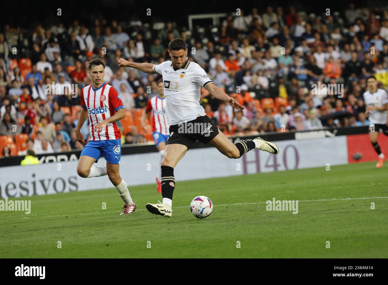 Roman yaremchuk hi-res stock photography and images - Alamy