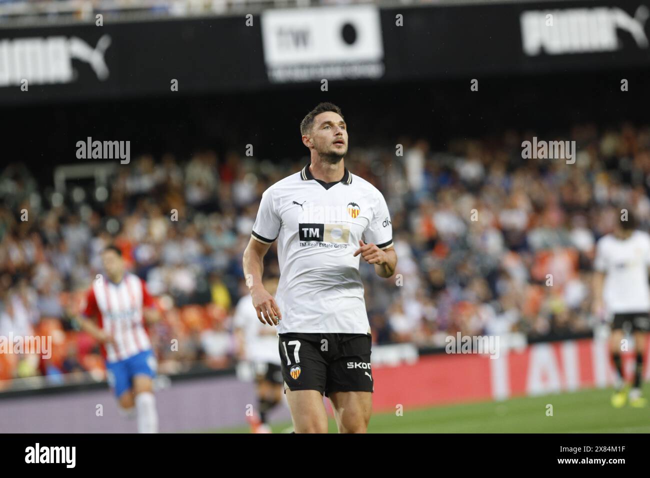 Roman Yaremchuk from VCF Stock Photo - Alamy
