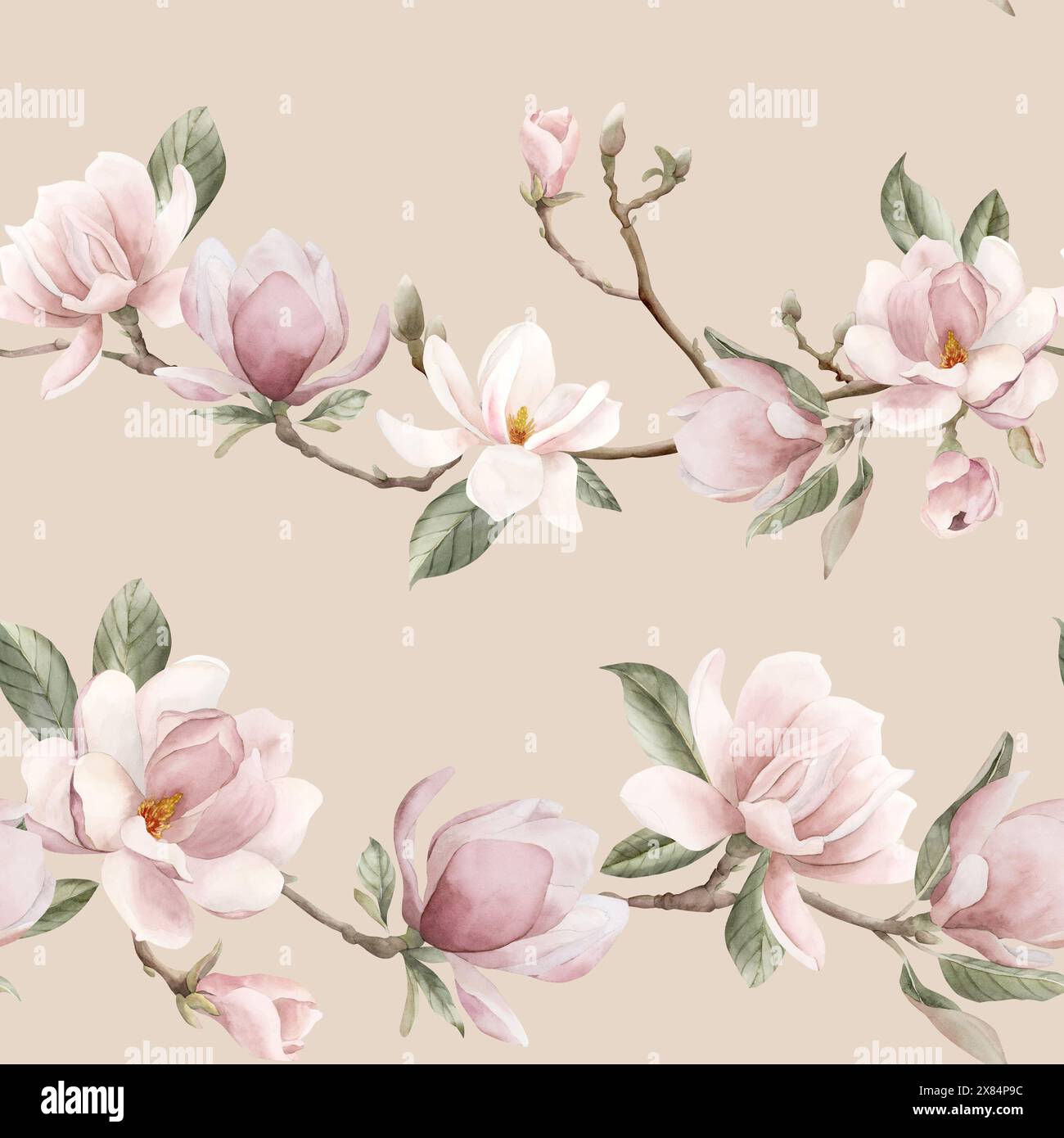 Light pink magnolia branch with buds and leaves. Watercolor floral ...