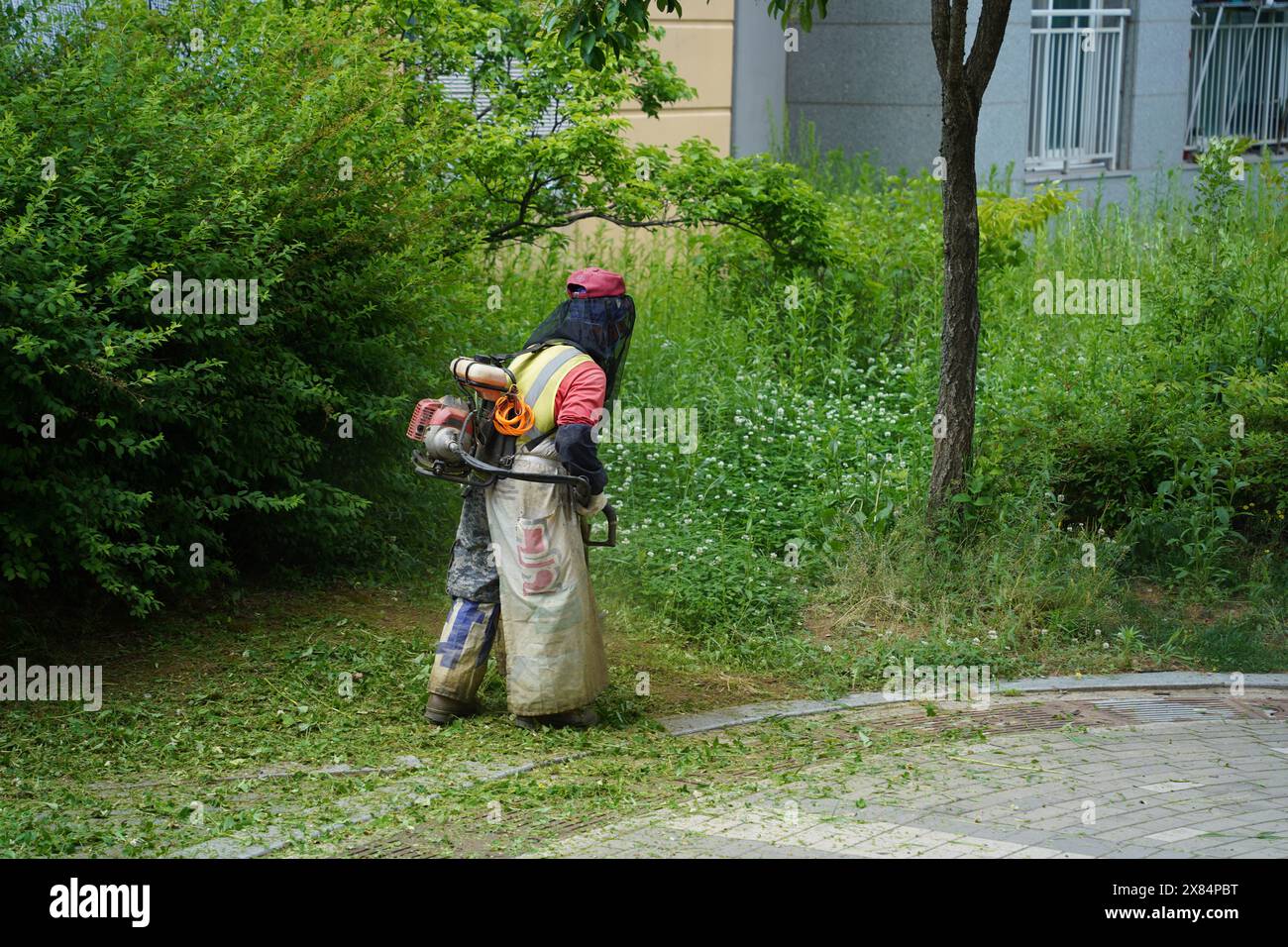 Weeding machine hi-res stock photography and images - Alamy