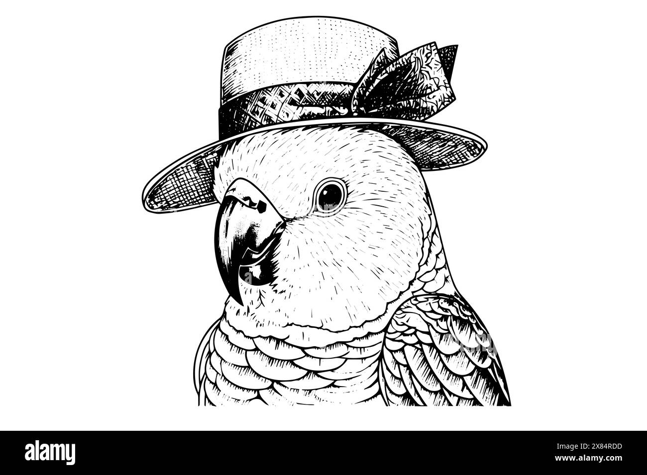 Parrot in a hat hand drawn ink sketch. Engraved style vector ...