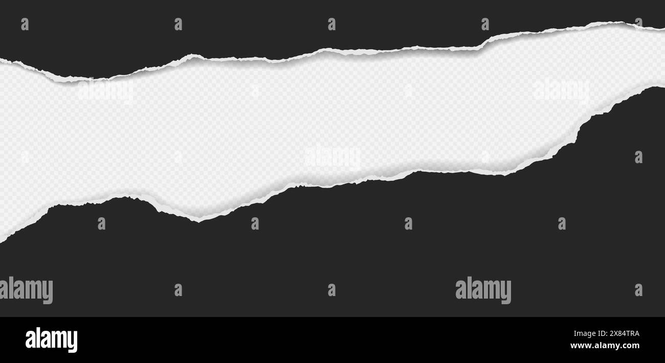 Black torn paper strips with soft shadow are on white background Vector ...