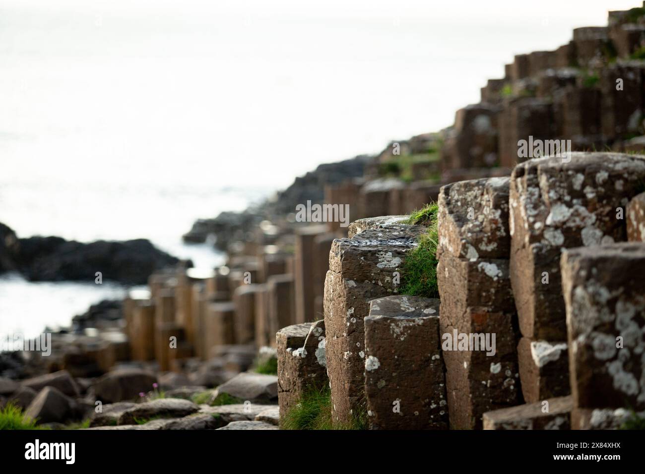 The Hexagonal Basalt Columns of the Giant's Causeway in Northern ...