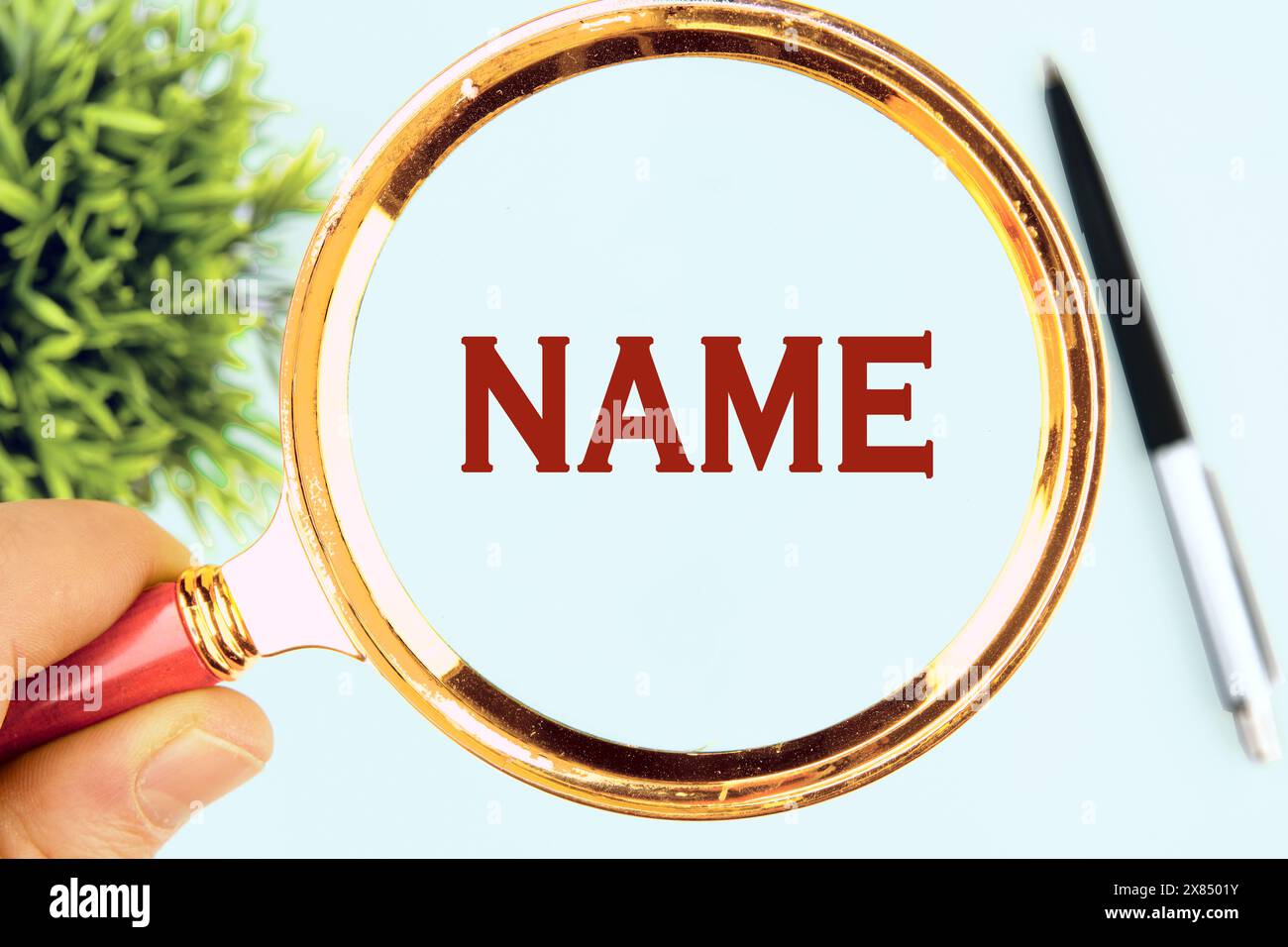 A word name written through a magnifying glass on a light background ...
