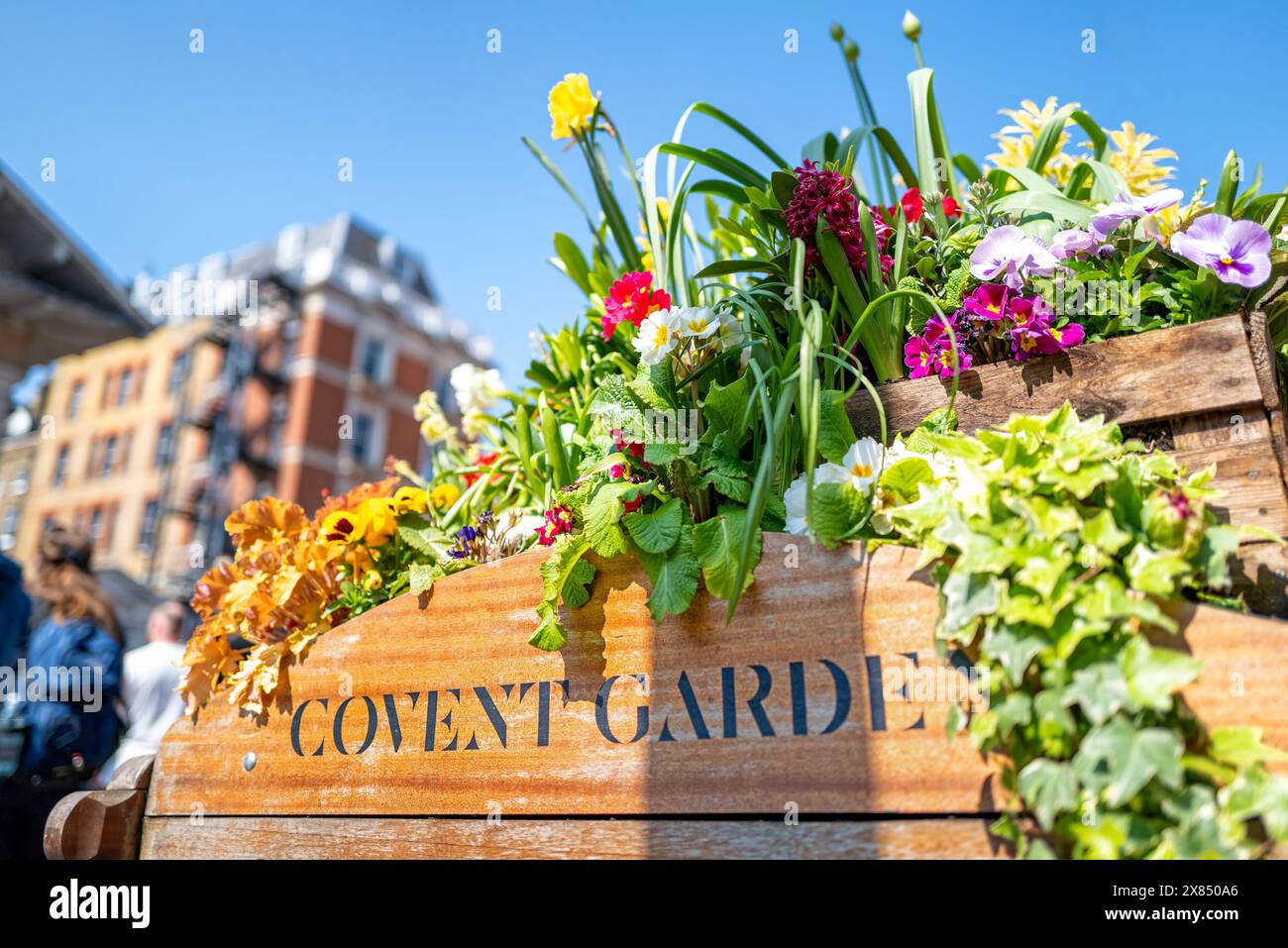 Old fashioned wooden barrow with boxes of flowers, outside the stores ...