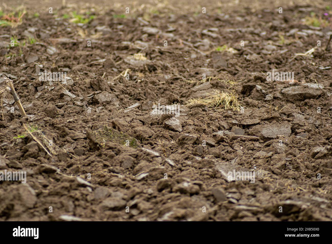 Agricultural soil background texture hi-res stock photography and ...