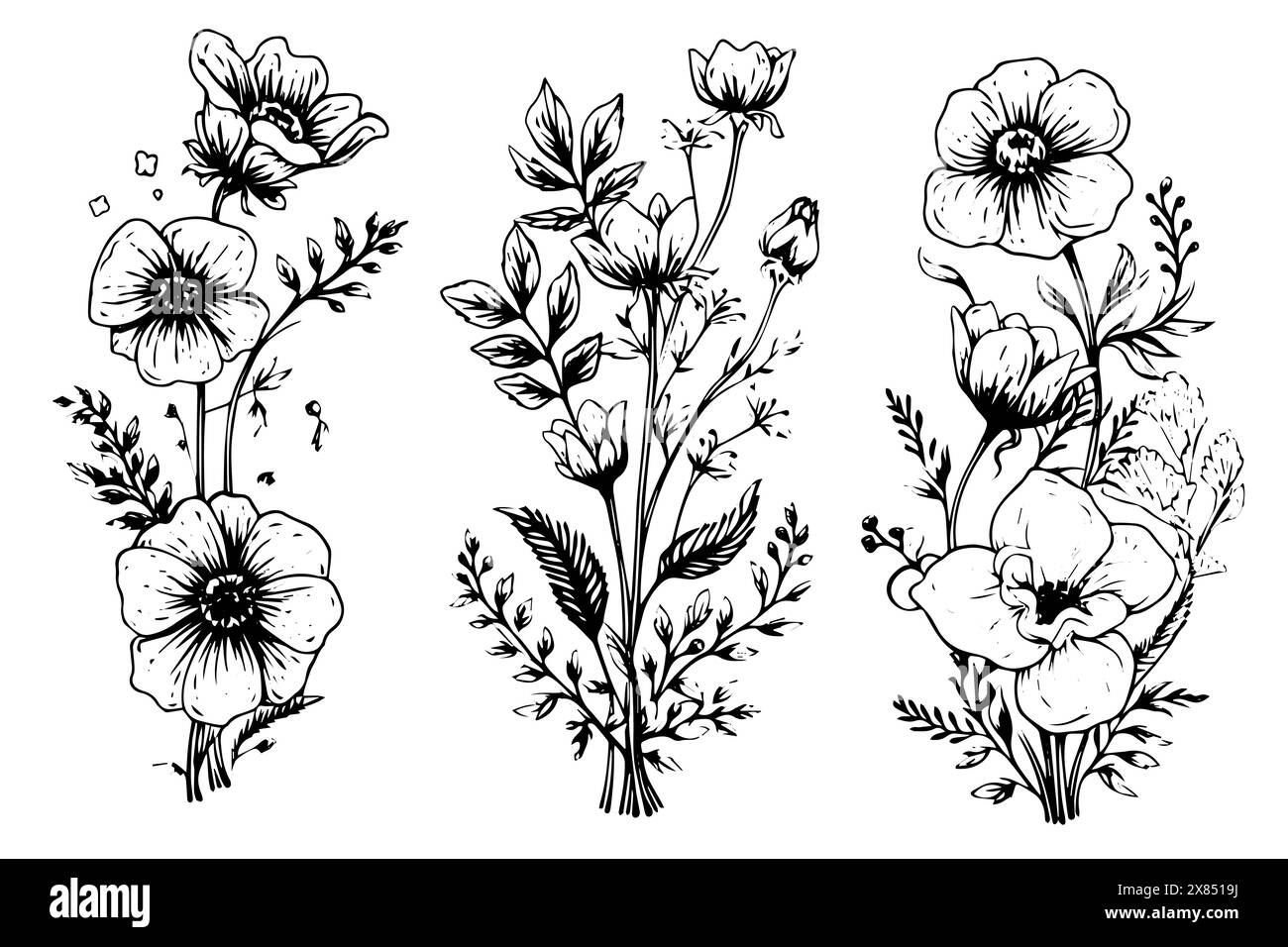 Hand drawn ink sketch of meadow wild flower set. Engraved style vector ...