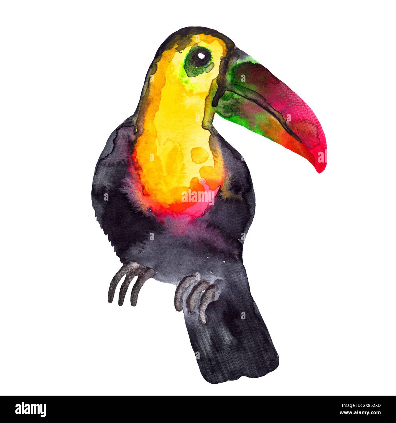 Watercolor hyper-realistic birds of the tropics of Asia - colored ...